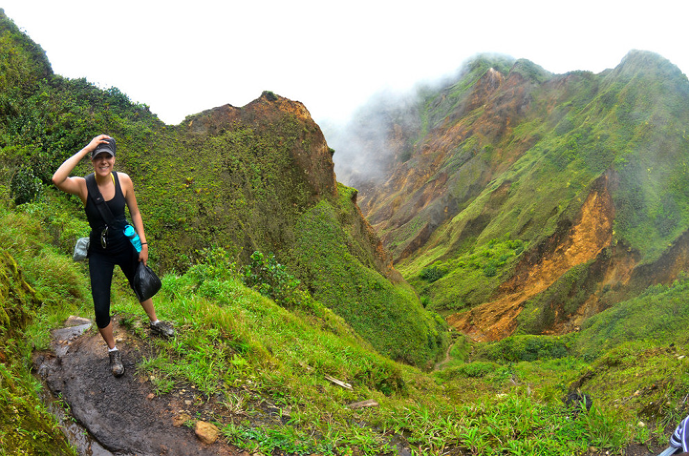 Why I quit my job - Dominica - Swimming with Sperm Whales - Caitlin ...