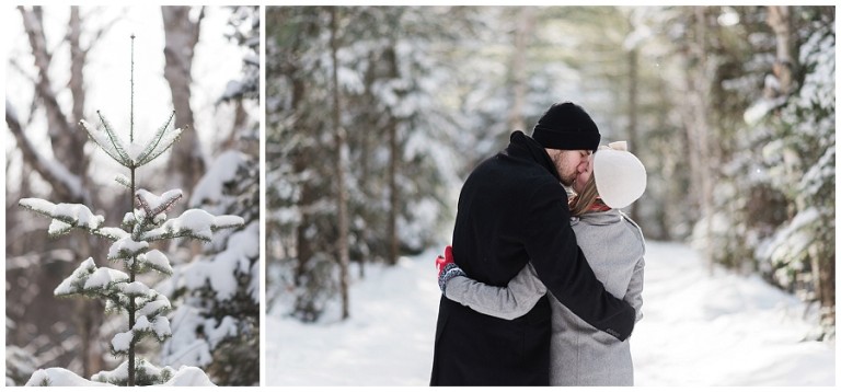 Caitlin & Jared - Arrowhead Provincial Park Engagement Session ...