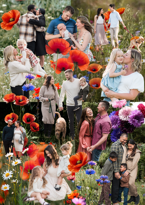 Spring Mini Sessions - Caitlin Free Photography